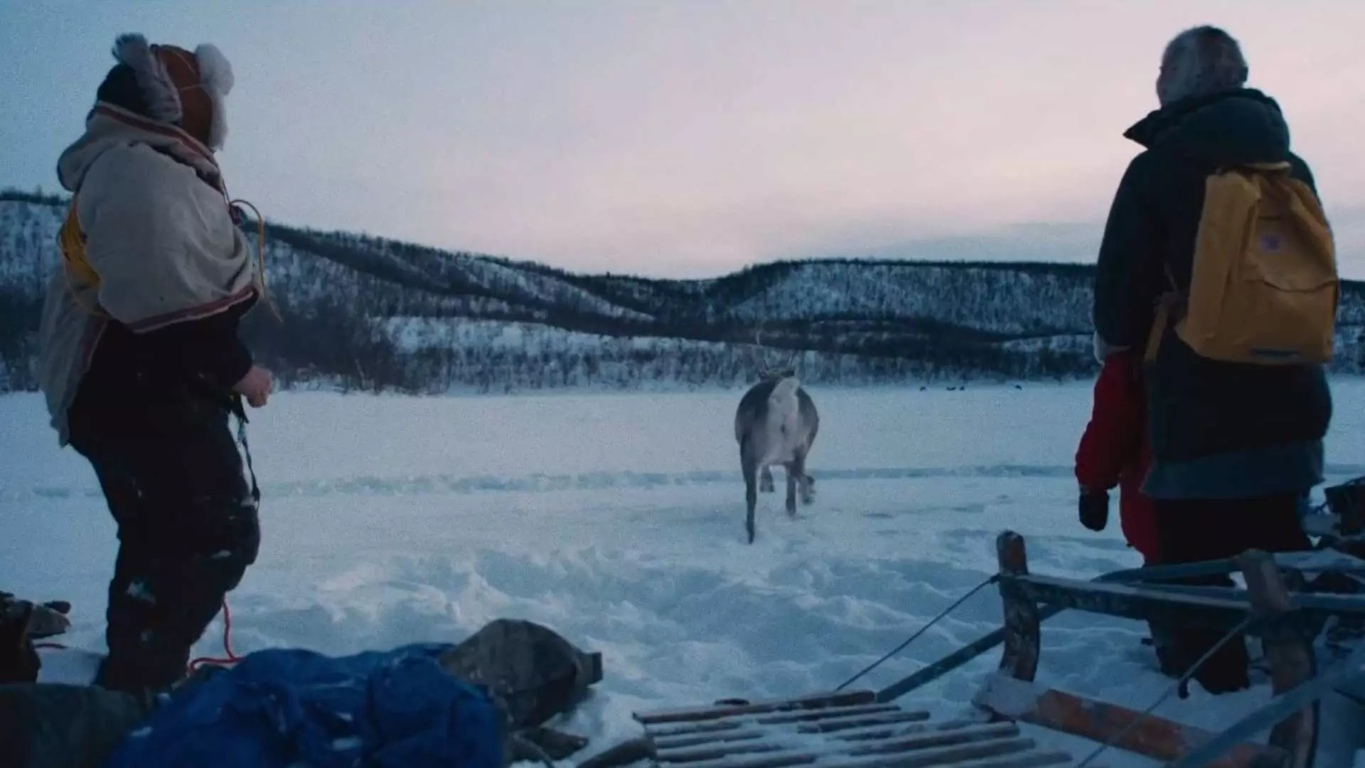 Skolekino Søkeside - Skolekino