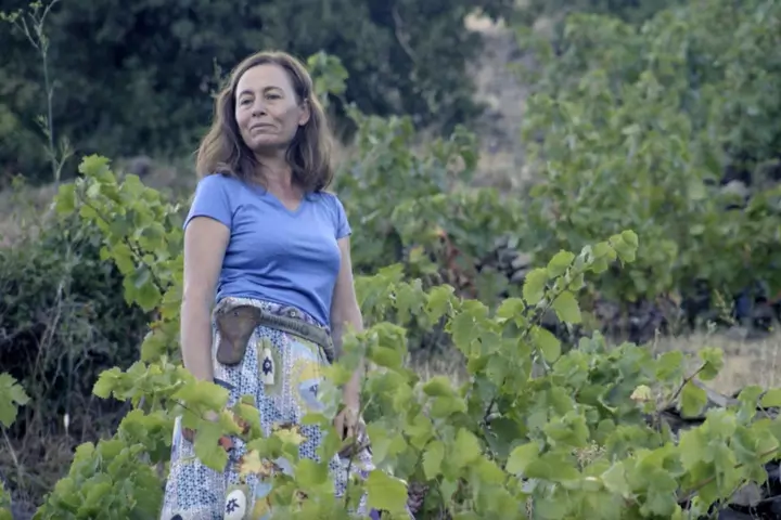 Wine Calling - Viddla