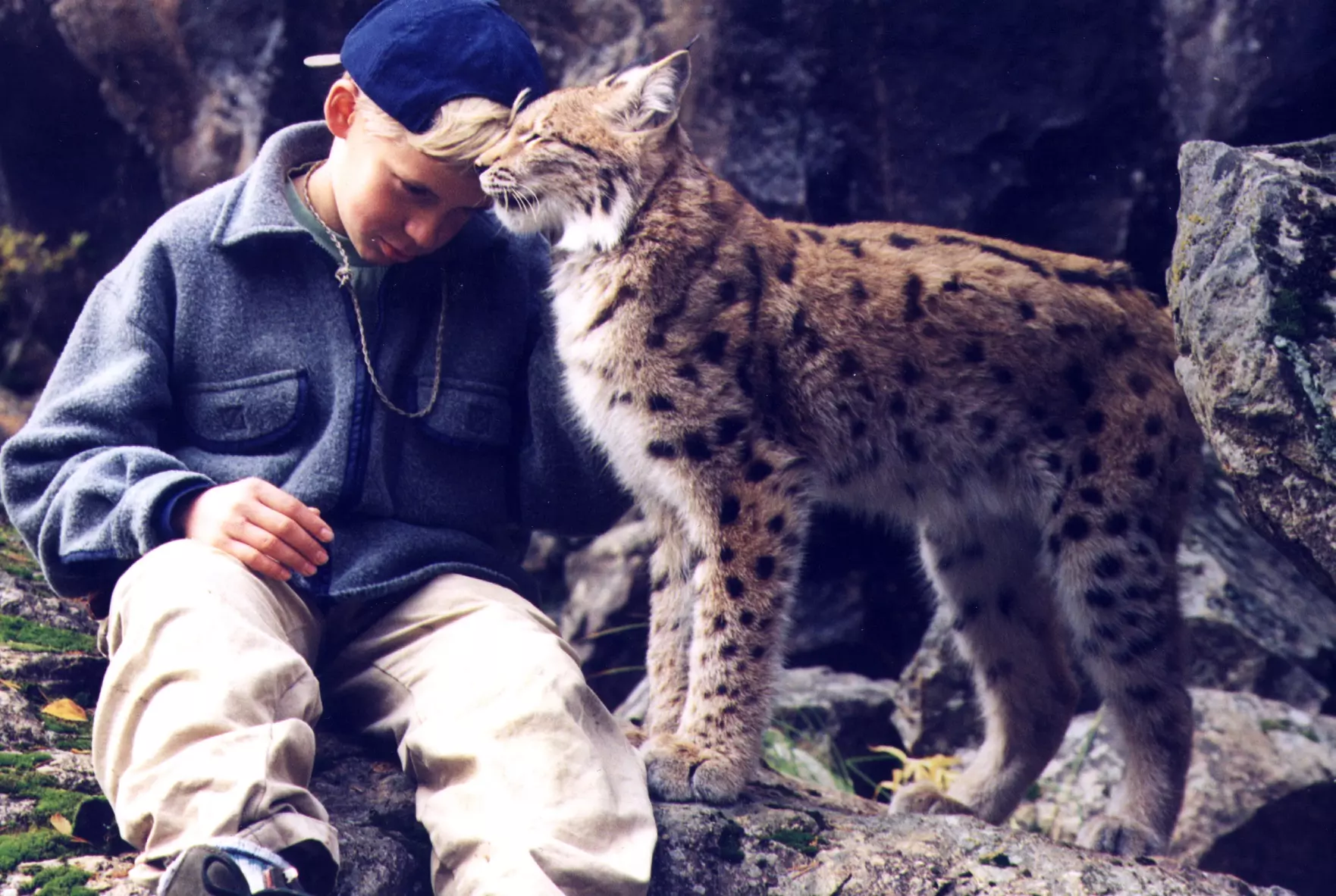 Poika ja Ilves - Viddla