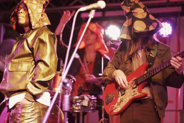 We intend to cause havoc - Viddla